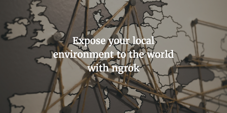 Expose your local environment to the world with ngrok | Theodo
